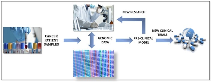 Translational Cancer Research Program - Harry Perkins Institute of ...